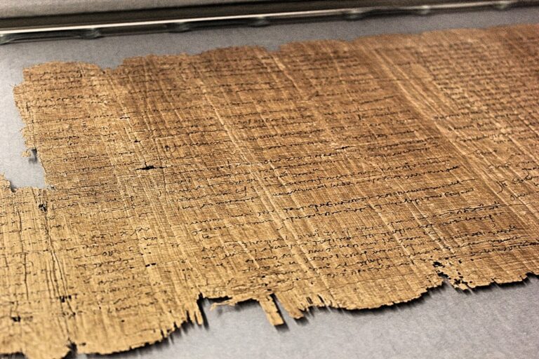 Touring the Largest Papyrus Collection in North America with UofM ...