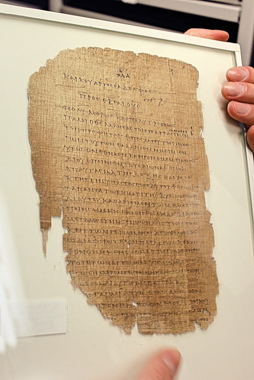 Touring the Largest Papyrus Collection in North America with UofM ...