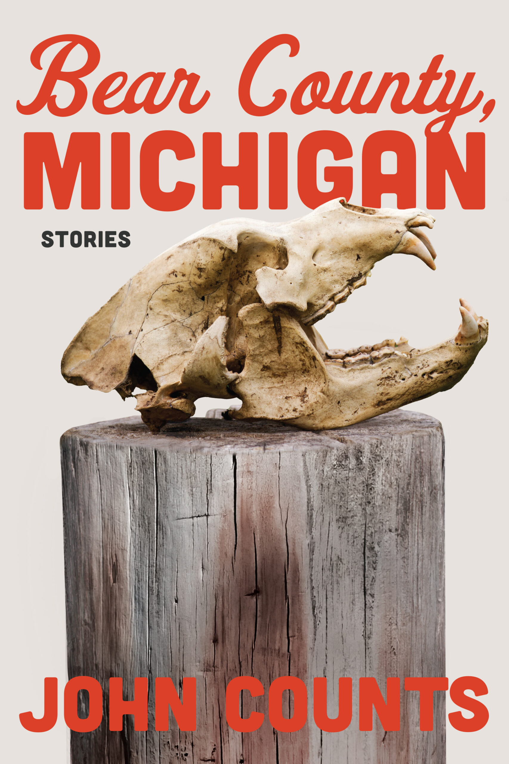 John Counts • Detroit Festival of Books